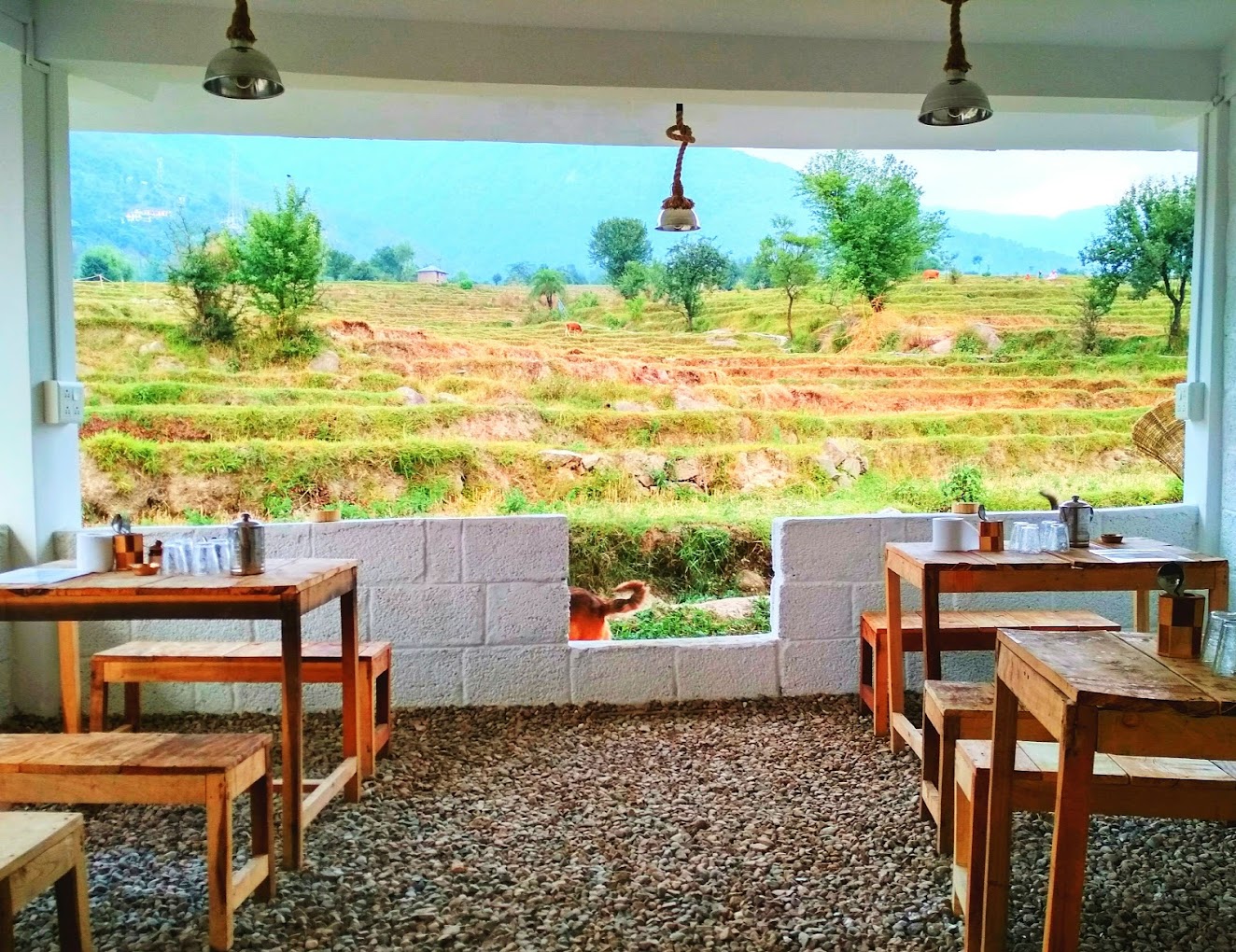 10 Best Cafes In Bir Billing